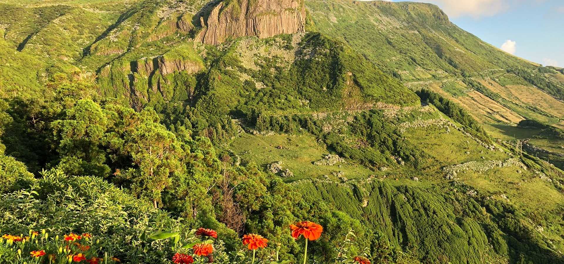 Elsewhere | Thermal Baths, Whale Watching, and Pristine Nature