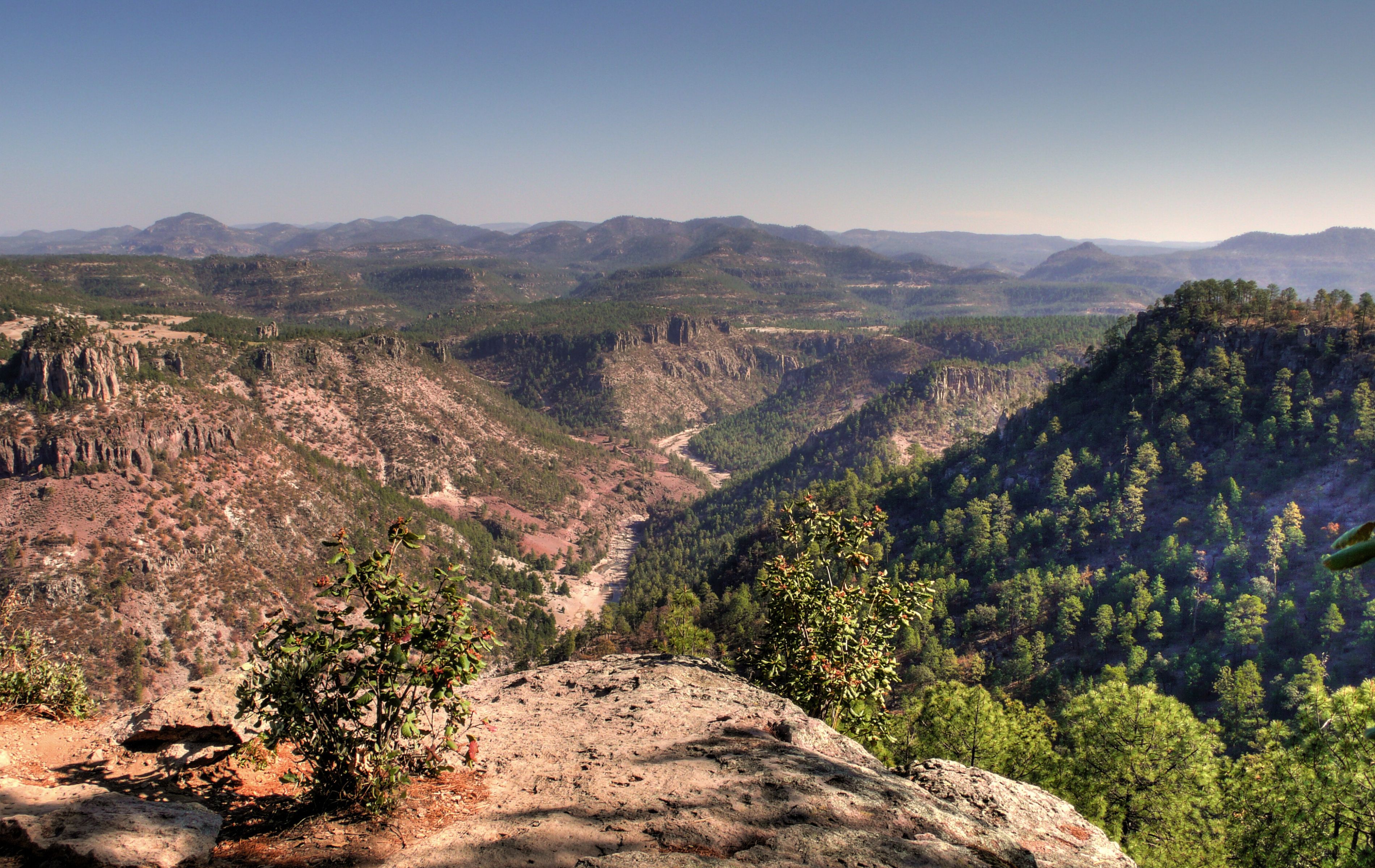 The vast abyss of the Copper Canyon, snaking through the Sierra Madre